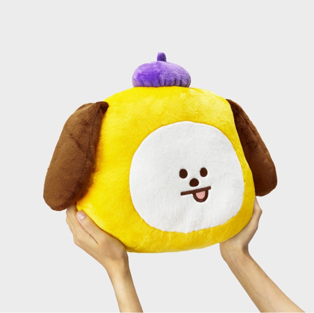 BT21 Face Cushion Line Official, Hobbies & Toys, Memorabilia ...
