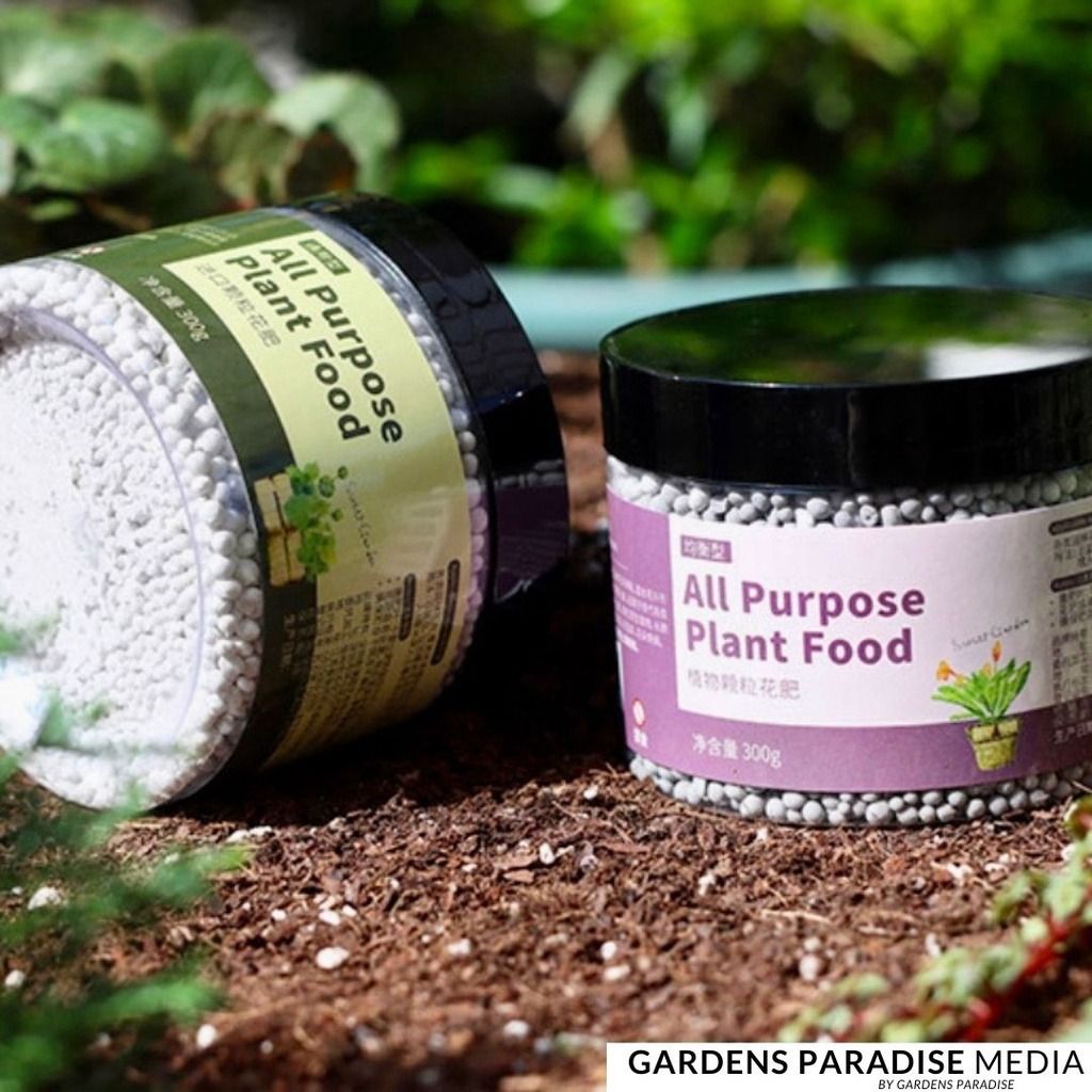 [BUNDLE OF 2] NPK 15-15-15 Granular Compound Slow-release Fertilizer ...