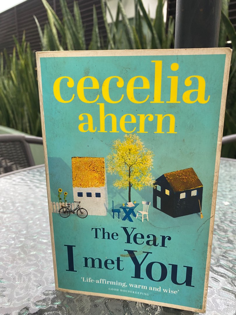 Cecilia Ahern The Year I Met You, Hobbies & Toys, Books & Magazines ...