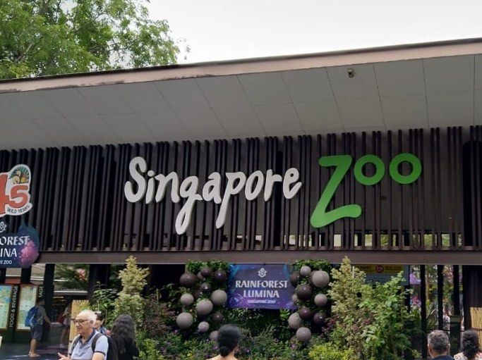 CHEAP SINGAPORE ZOO TICKETS, Tickets & Vouchers, Local Attractions ...