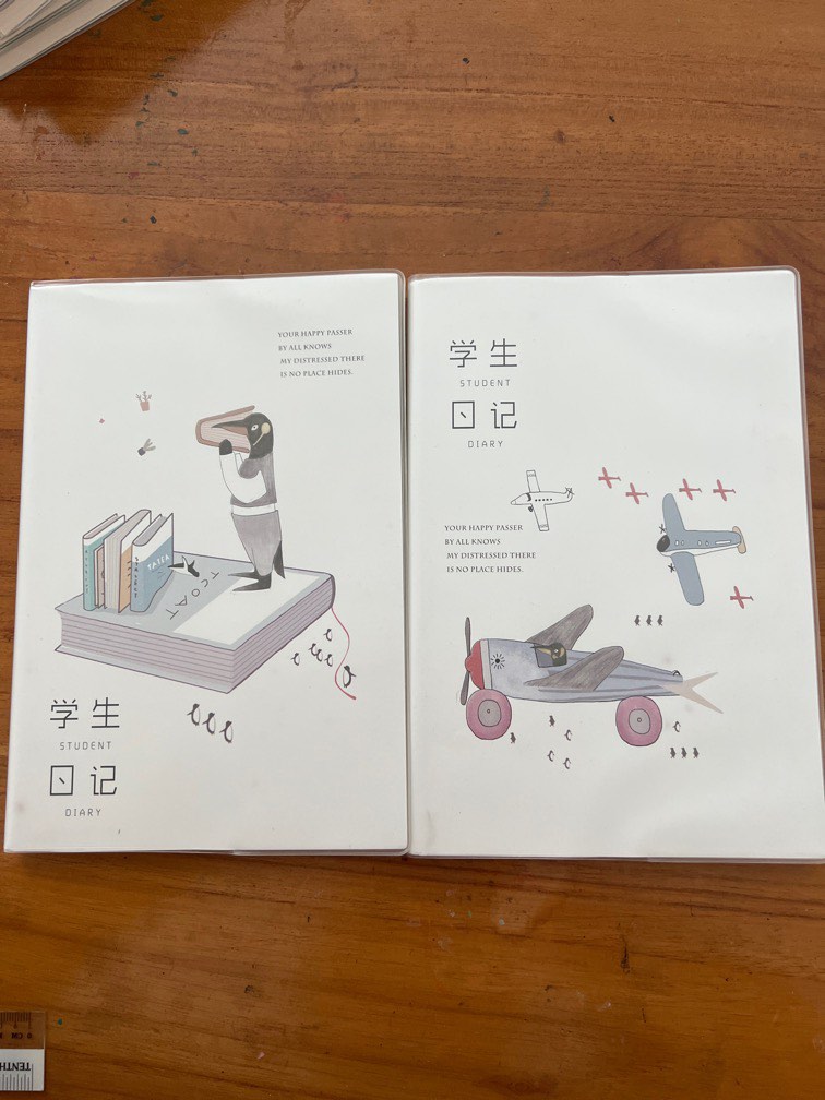 Chinese diary Chinese words notebook composition, Hobbies & Toys, Books ...