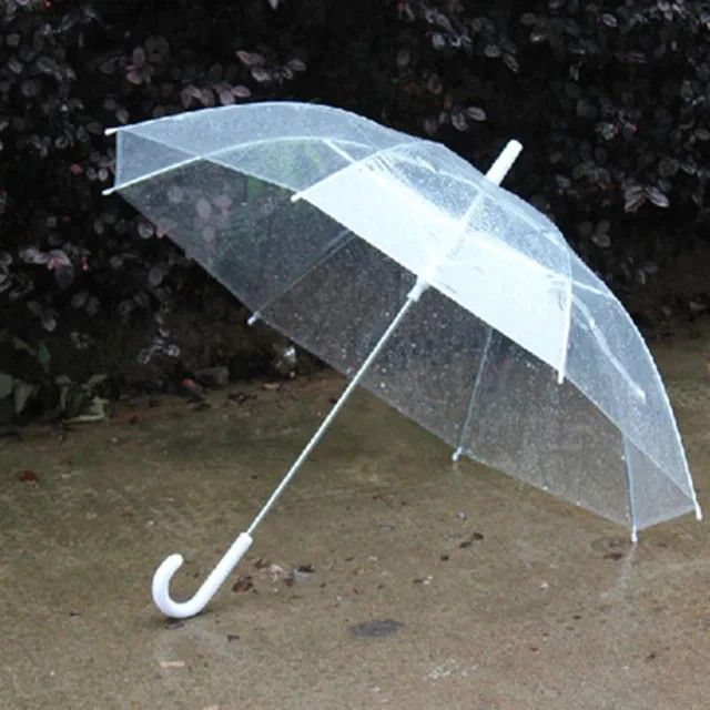 Nicard Transparent Umbrella With White Handle, Hobbies & Toys, Travel ...