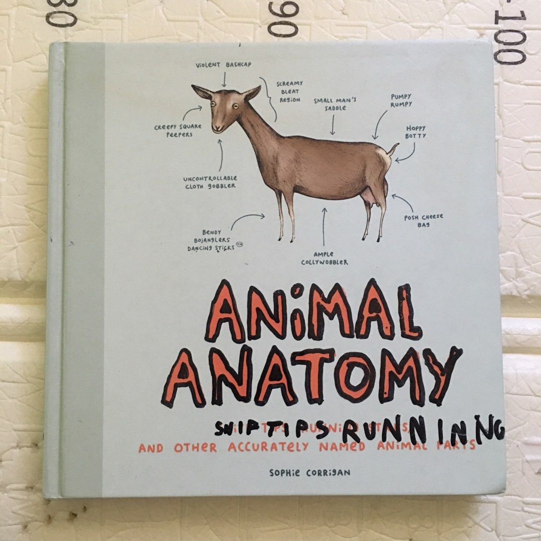 PRELOVED Animal Anatomy by Sophie Corrigan, Hobbies & Toys, Books ...