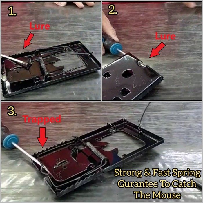 Reusable Black Metal Mouse Traps Bait Mice Vermin Rodent Pest Control ...