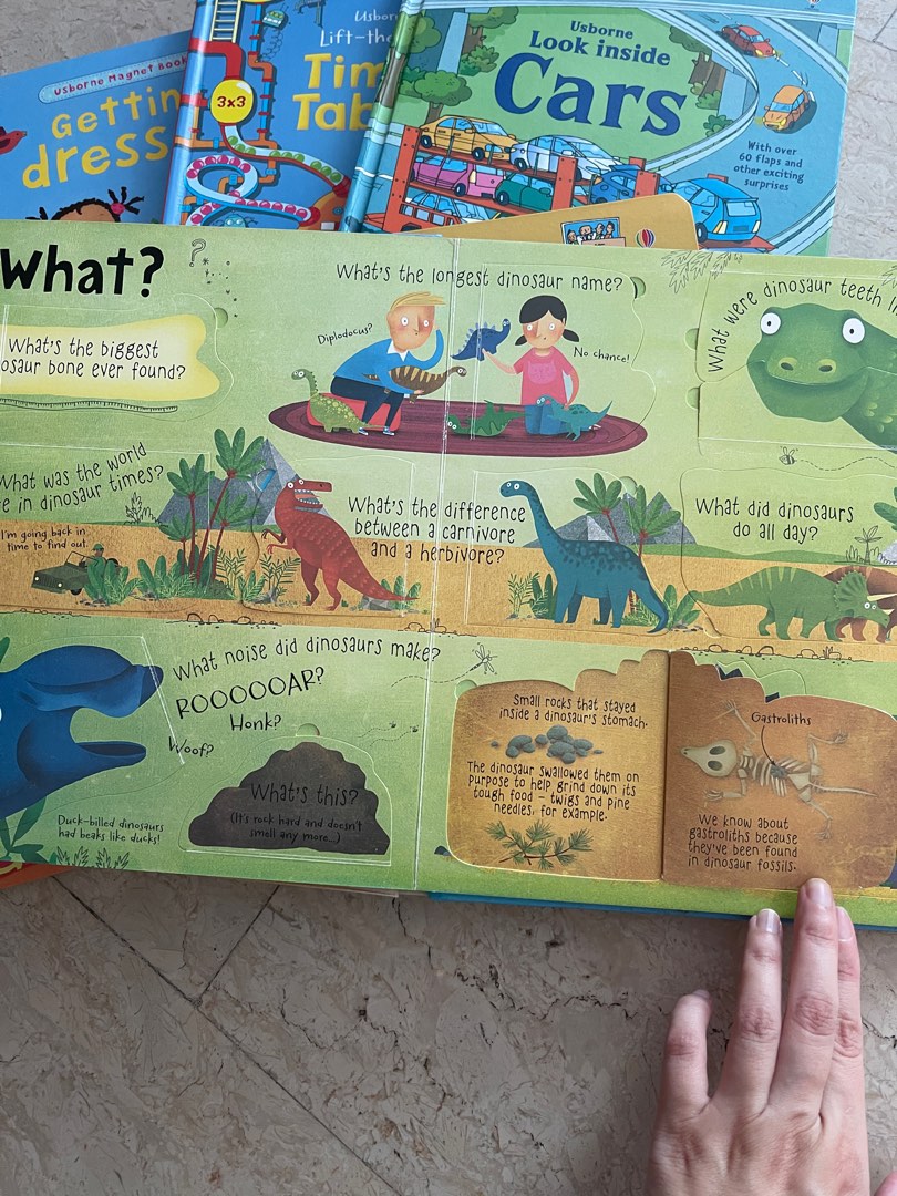 Usborned lift flap book, Hobbies & Toys, Books & Magazines, Children's ...