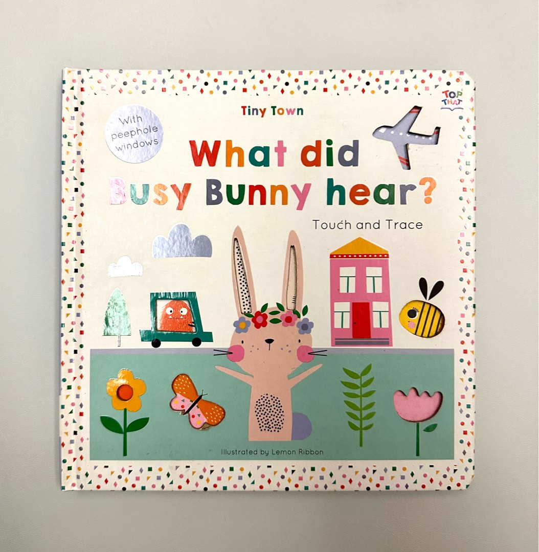What Did Busy Bunny Hear (Touch and Trace), Hobbies & Toys, Books ...
