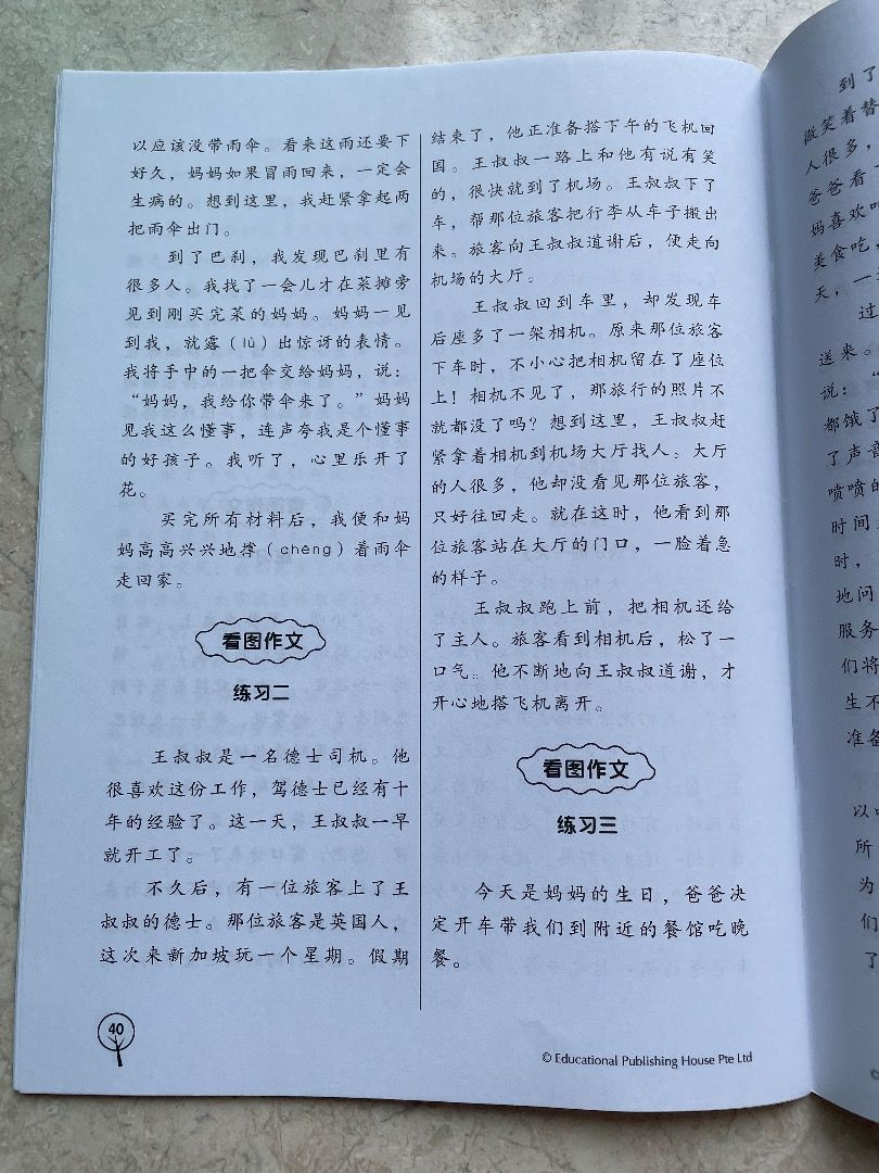 Primary 3 Chinese Composition Practice, Hobbies & Toys, Books ...