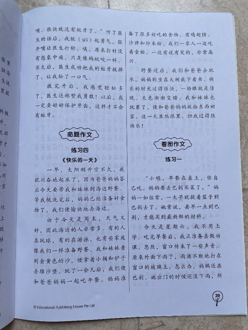 Primary 3 Chinese Composition Practice, Hobbies & Toys, Books ...