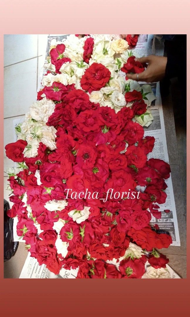 Bunga mawar segar untuk tabur cimahi bdg, Perkebunan di Carousell