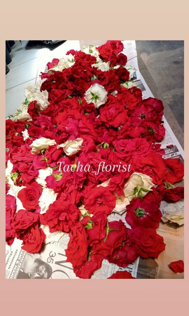 Bunga mawar segar untuk tabur cimahi bdg, Perkebunan di Carousell