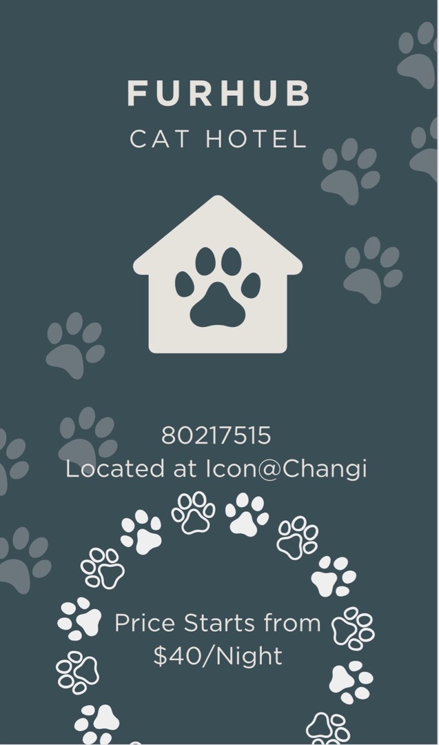 Cat boarding | Cat hotel | boarding services, Lifestyle Services, Pet ...