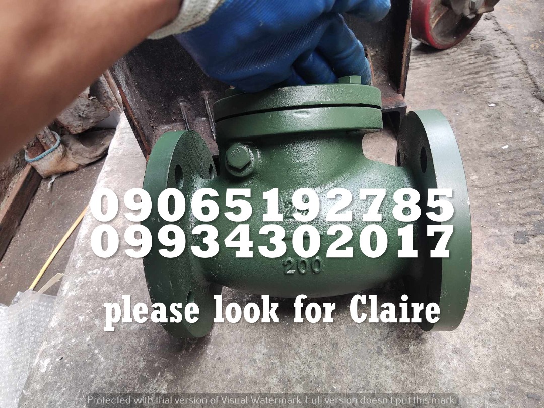 CI Check Valve, Commercial & Industrial, Construction Tools & Equipment ...