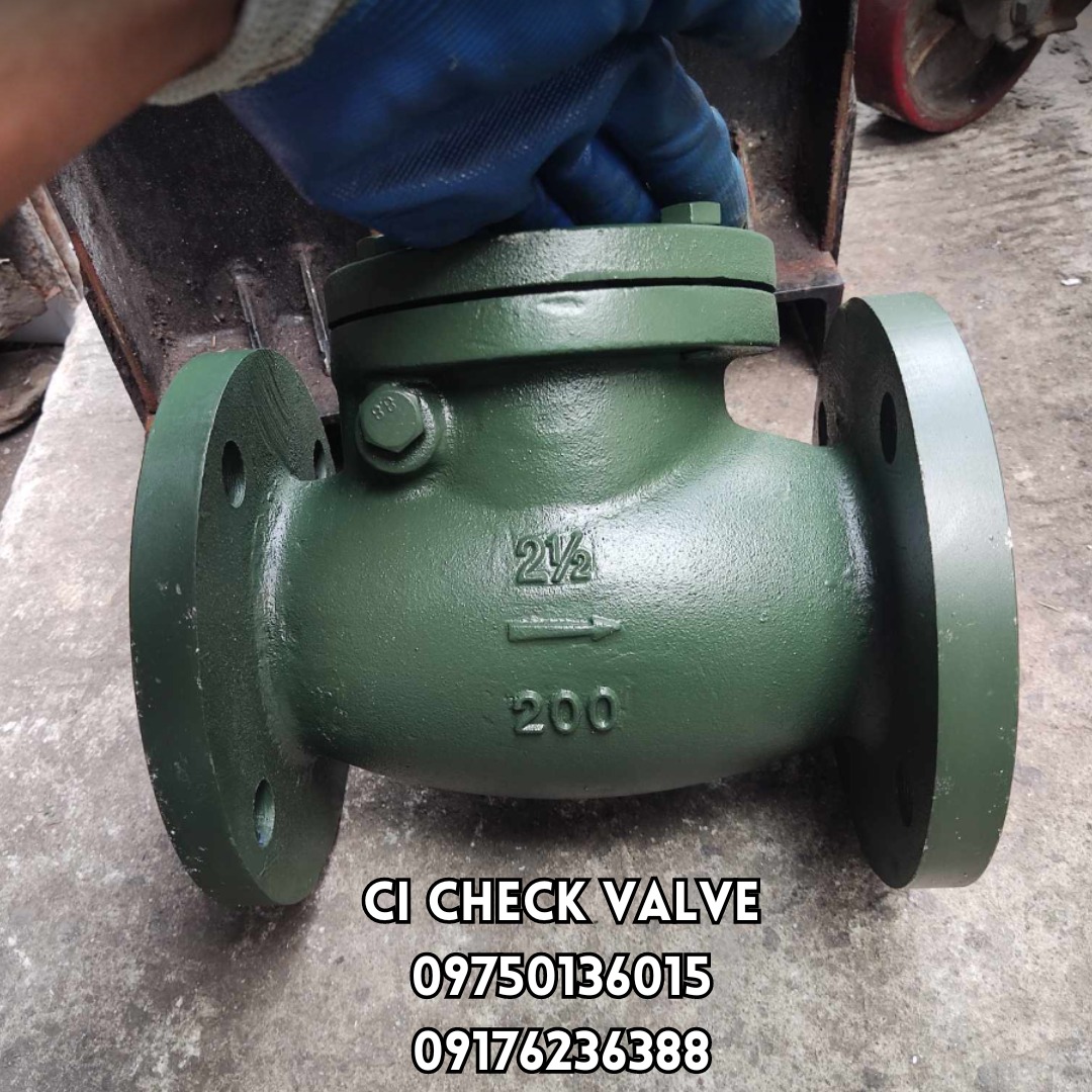CI Check Valve, Commercial & Industrial, Industrial Equipment on Carousell