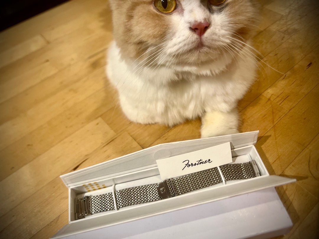 Forstner Komfit Wide Version “JB” Mesh Watch Bracelet with Straight ...