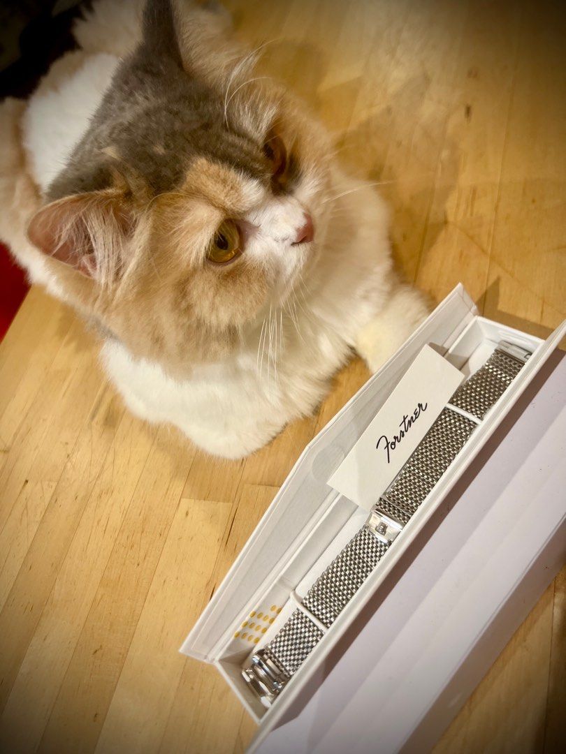 Forstner Komfit Wide Version “JB” Mesh Watch Bracelet with Straight ...