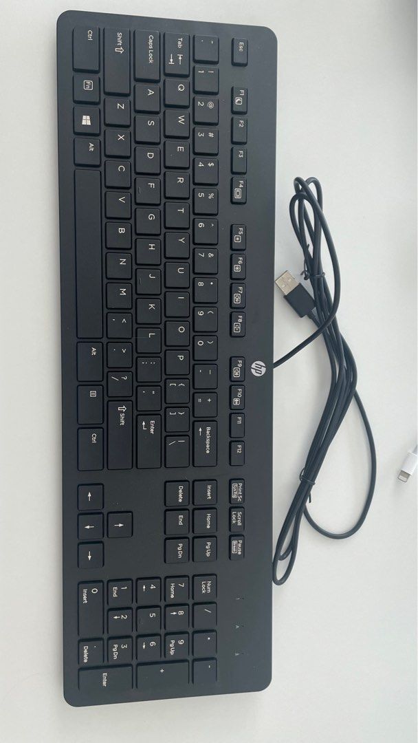 HP SK2120 Keyboard Never used, Computers & Tech, Parts & Accessories ...