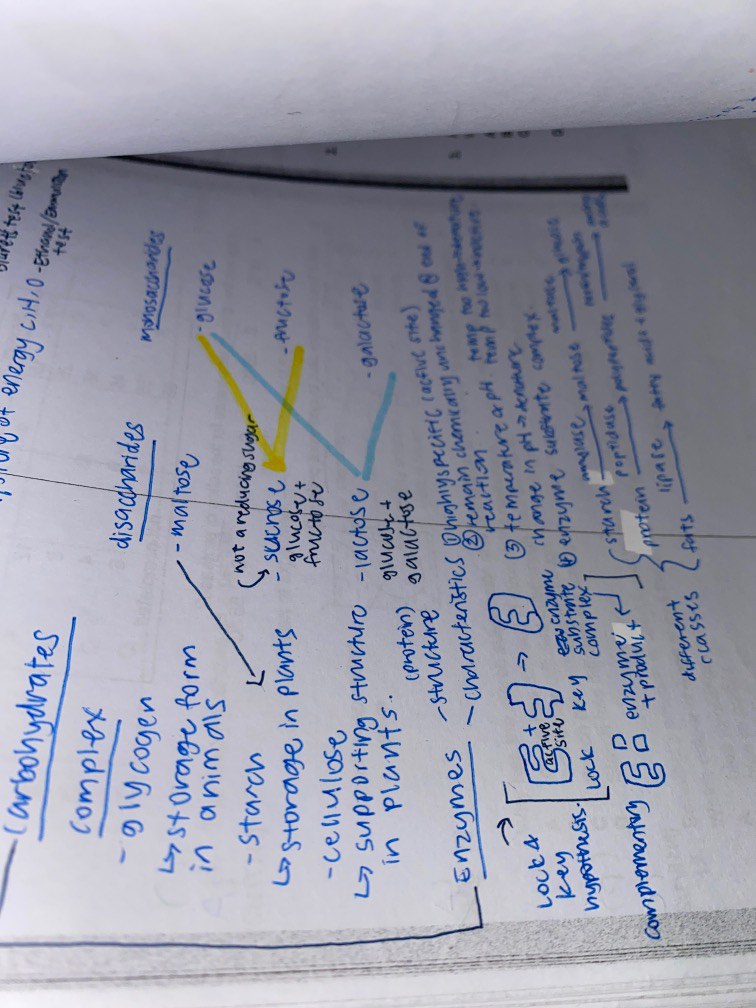 O level notes and worksheets, Hobbies & Toys, Books & Magazines ...