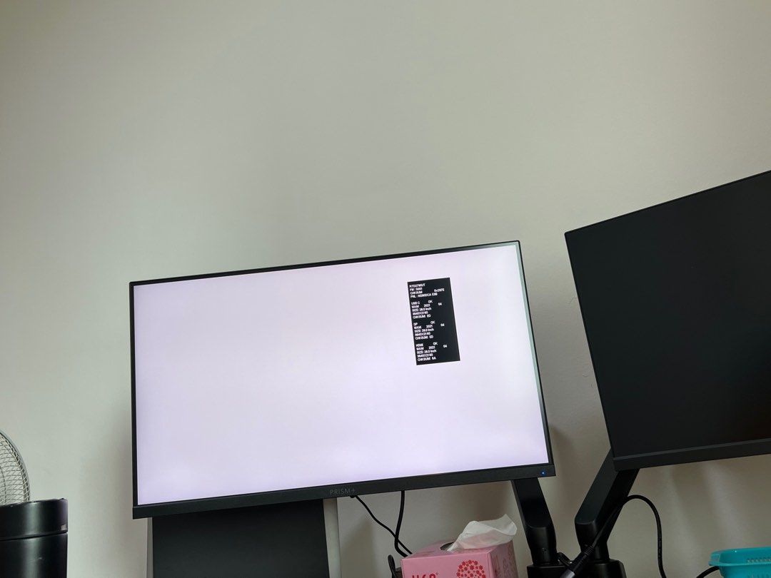 Prism 28 4K W280 monitor and 2K W270 PRO monitor Setup with Arms ...