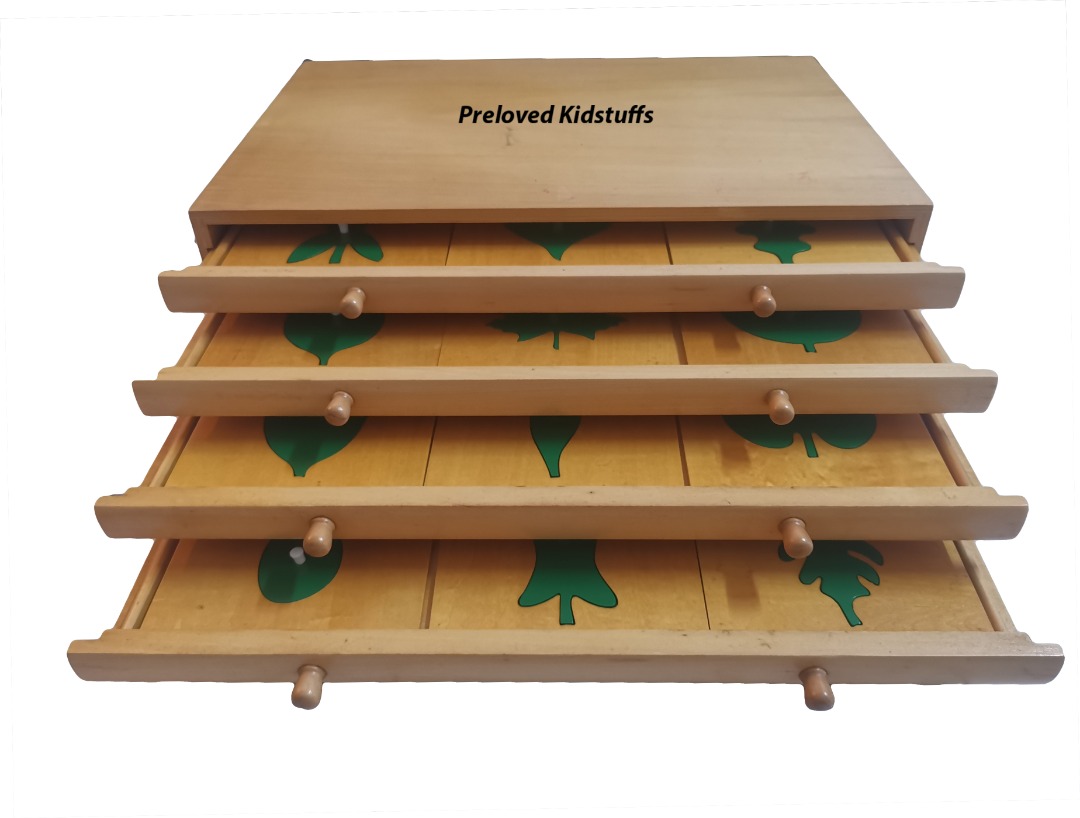 Montessori Botany Cabinet Lesson | Cabinets Matttroy