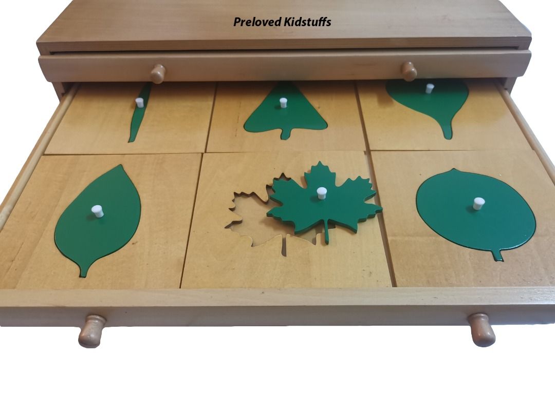 Montessori Botany Cabinet Lesson | Cabinets Matttroy