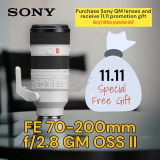 Sony FE 300mm f/2.8 GM OSS / Sony 300mm f2.8 GM / SEL300F28GM / PRE ...