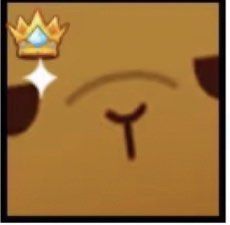 TITANIC CAPYBARA PSX PET SIMULATOR X, Video Gaming, Gaming Accessories ...