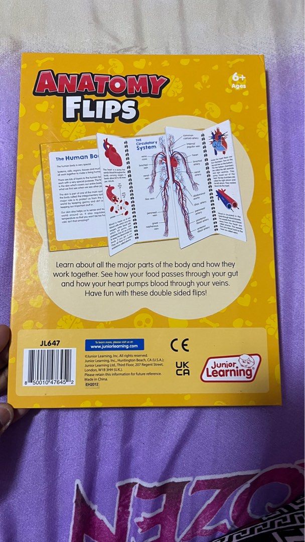 Anatomy flips, Hobbies & Toys, Books & Magazines, Children's Books on ...