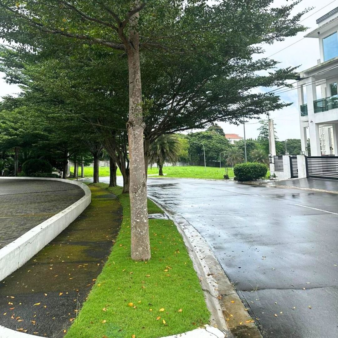 Corner Lot in Miami Subdivision South Forbes at 434 SQM Lot Area, in ...