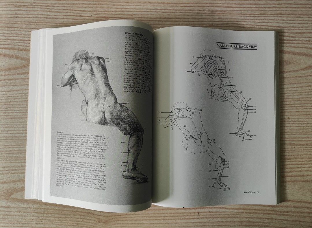 Drawing the Living Figure by Joseph Sheppard, Hobbies & Toys, Books ...
