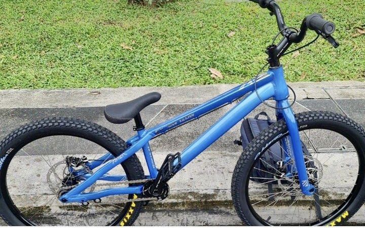 Street Trails Extension ALTER 24”, Sports Equipment, Bicycles & Parts, Bicycles on Carousell