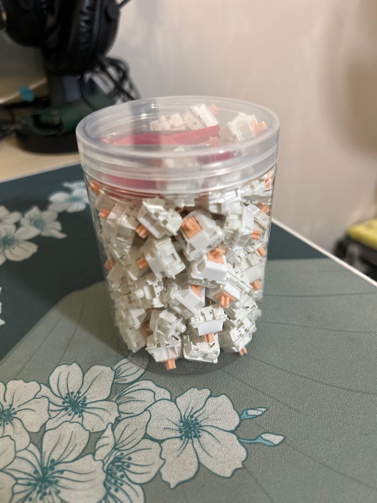 Feker Holy Pandas V2 (Hand Lubed), Computers & Tech, Parts ...