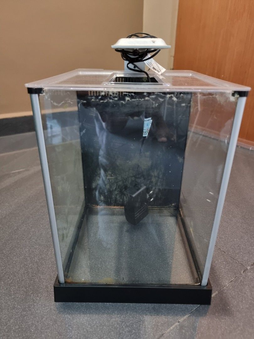 Fluval 10 litre tank with light and pump, Pet Supplies, Homes & Other ...