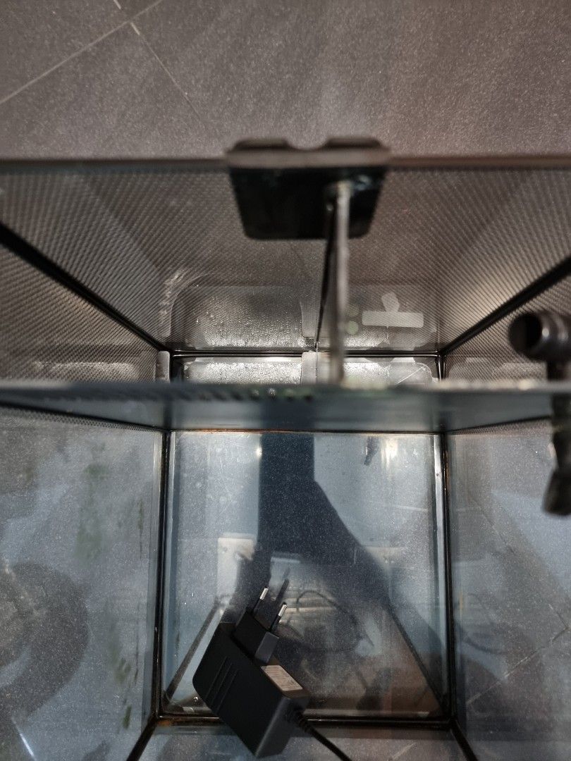 Fluval 10 litre tank with light and pump, Pet Supplies, Homes & Other ...