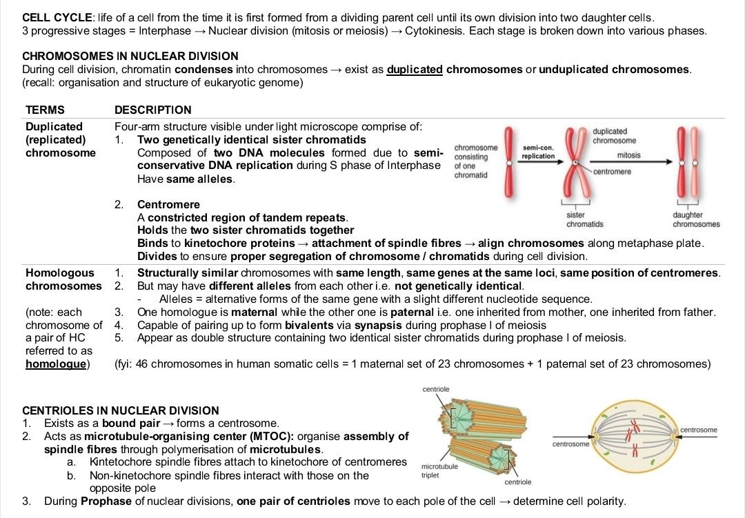 H2 Biology Notes (JC A Levels Bio Science Sci Practical RJC, NYJC, RI ...