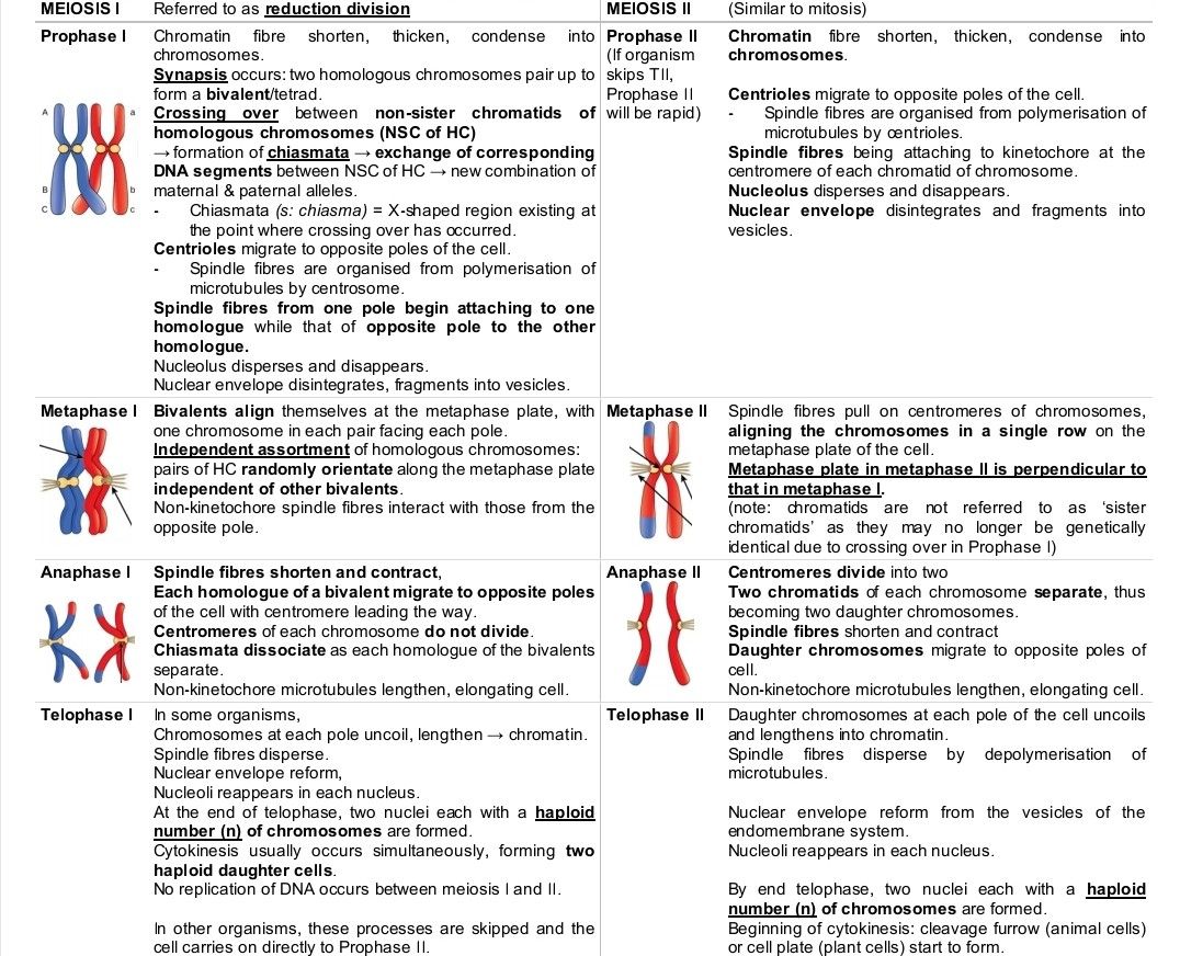 H2 Biology Notes (JC A Levels Bio Science Sci Practical RJC, NYJC, RI ...