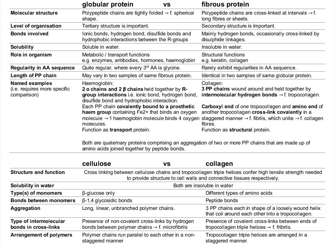 H2 Biology Notes (JC A Levels Bio Science Sci Practical RJC, NYJC, RI ...