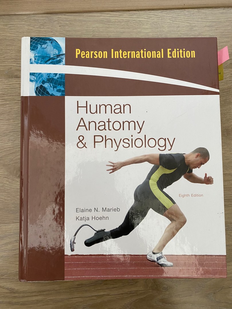 Human anatomy and Physiology (8th Edition), Hobbies & Toys, Books & Magazines, Textbooks on ...