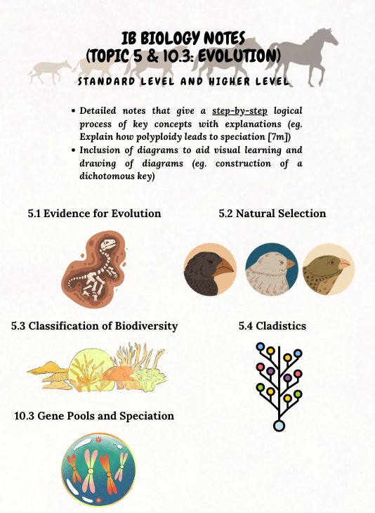 IB BIOLOGY TOPICAL NOTES (TOPIC 5: EVOLUTION), Hobbies & Toys, Books ...