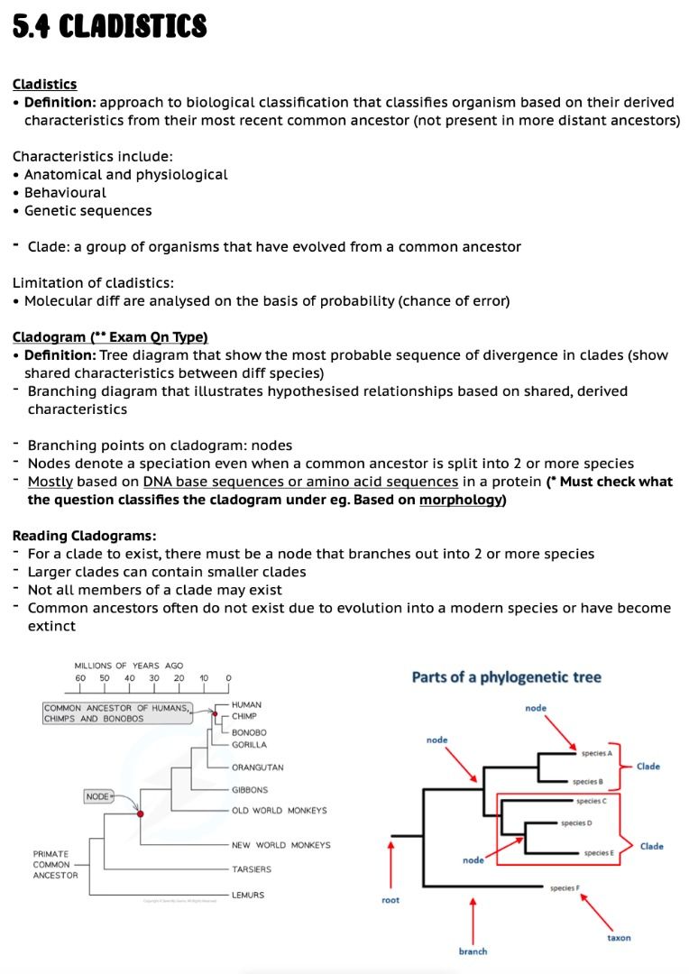 IB BIOLOGY TOPICAL NOTES (TOPIC 5: EVOLUTION), Hobbies & Toys, Books ...