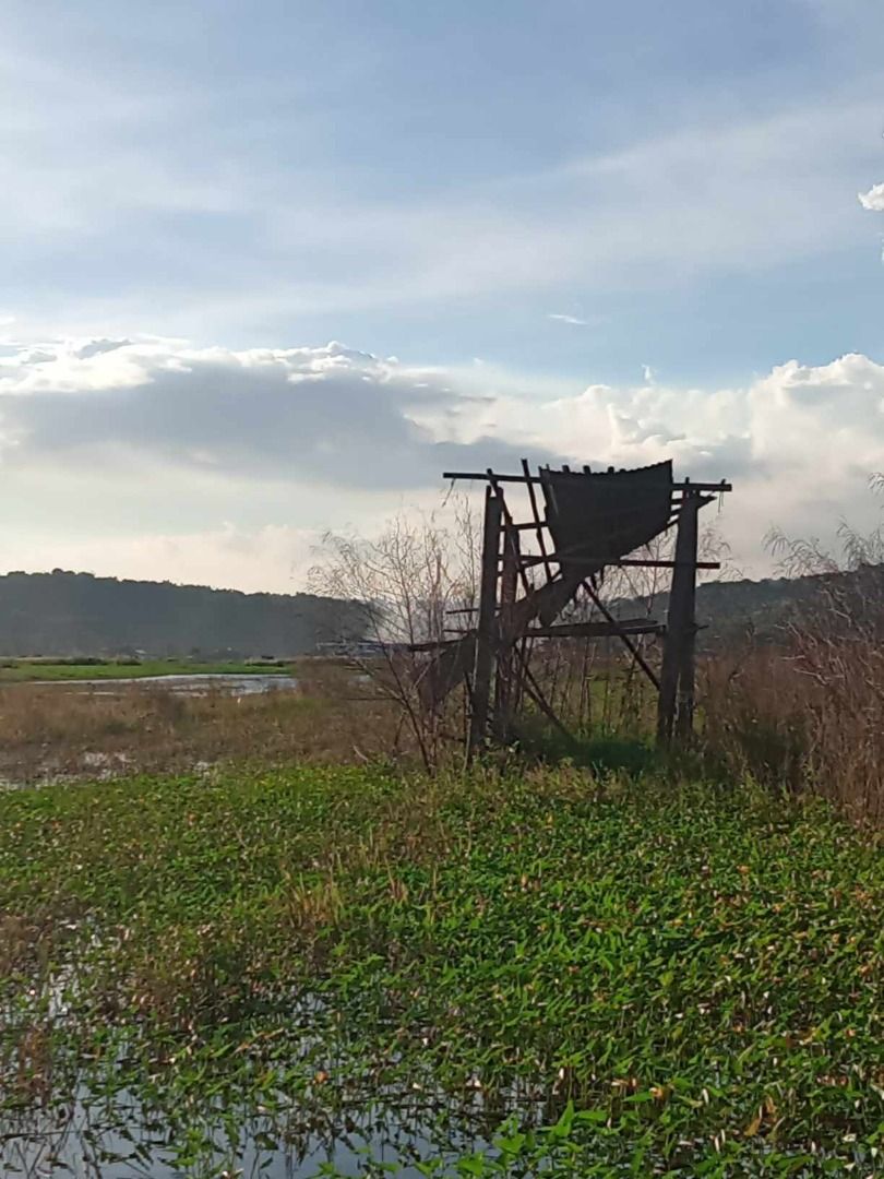 Mas Pinamura 8,537 sqm Palayan in San Pedro (Pob.) Morong, Rizal near ...