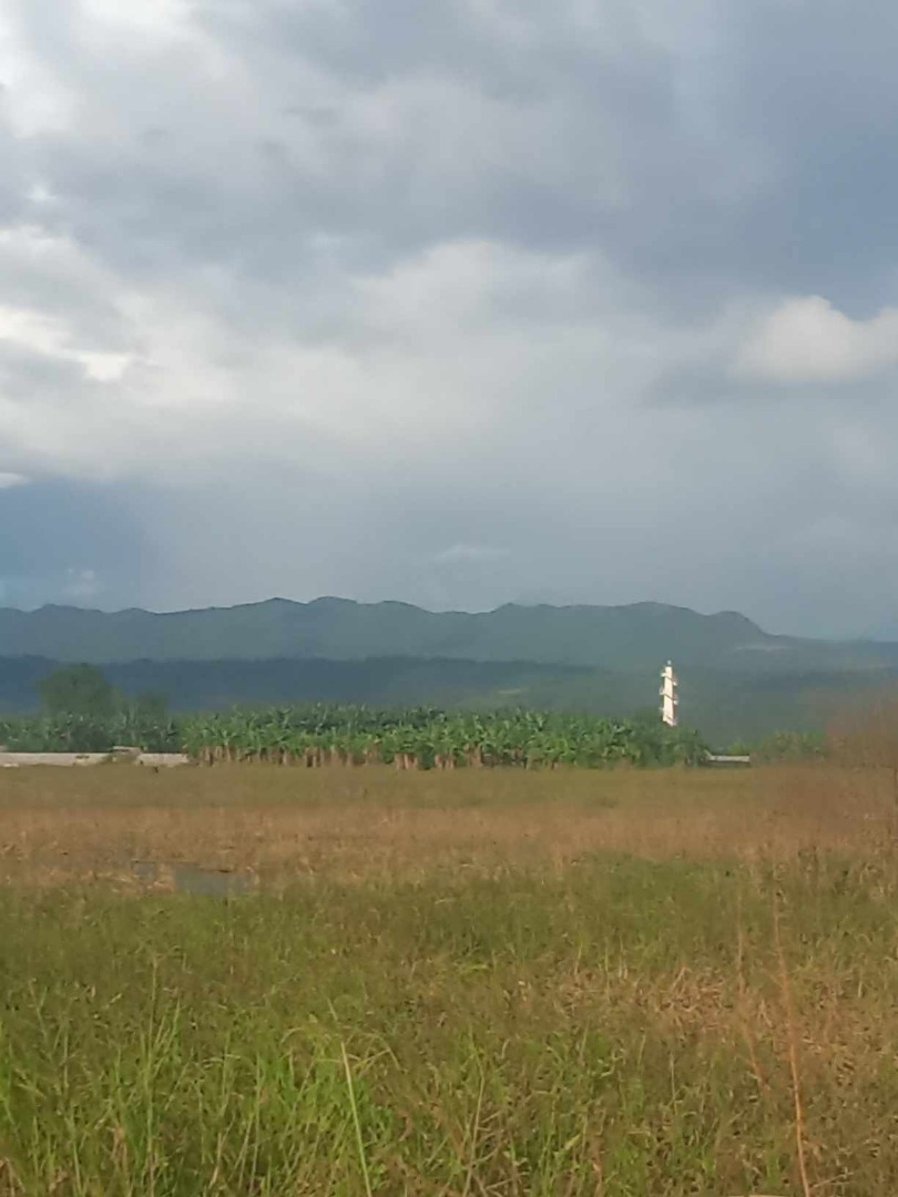 Mas Pinamura 8,537 sqm Palayan in San Pedro (Pob.) Morong, Rizal near ...