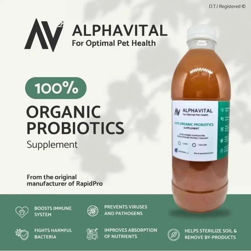 Pet Probiotics by Alphavital, Pet Supplies, Health & Grooming on Carousell
