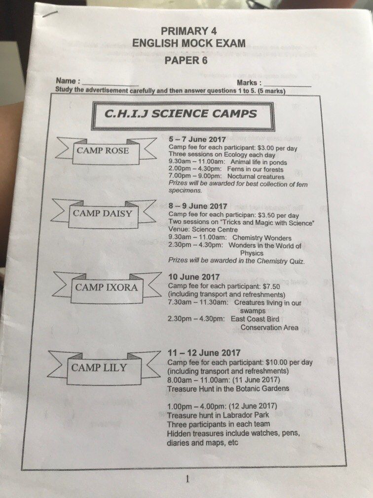 Primary 4 English mock exam paper 4 and 6, Hobbies & Toys, Books ...