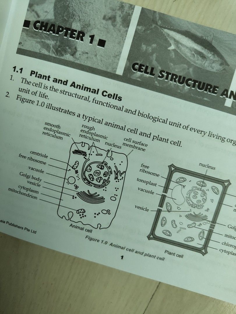 pure biology olevel concise notes for express students, Hobbies & Toys ...