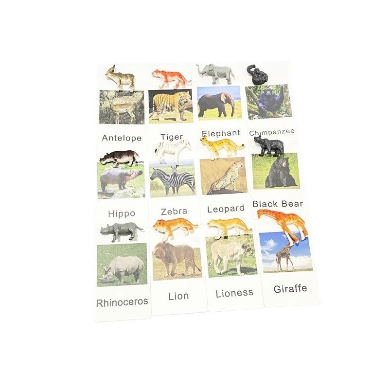Treeyear Montessori Animal Match Cards Miniature Poultry Animals with ...