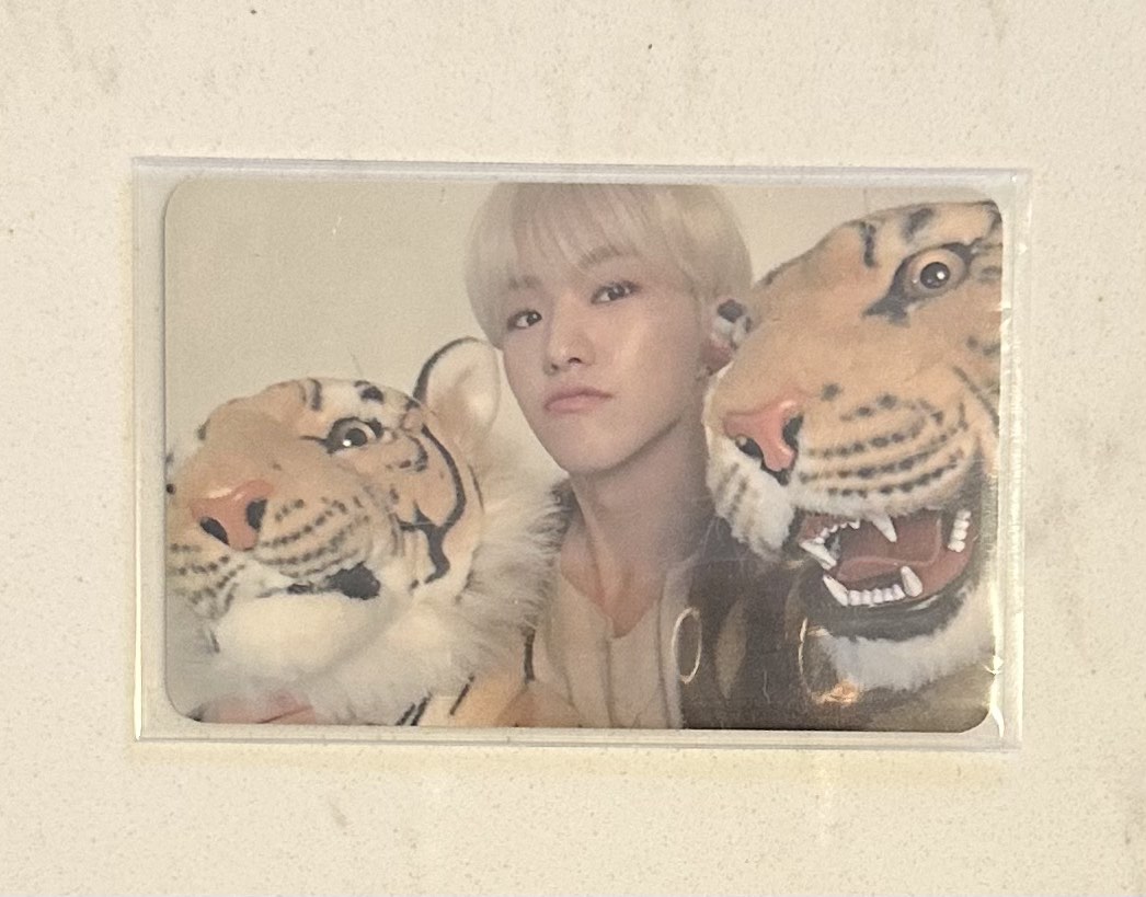 wts seventeen svt hoshi season greetings tiger pc, Hobbies & Toys, Memorabilia & Collectibles, K ...