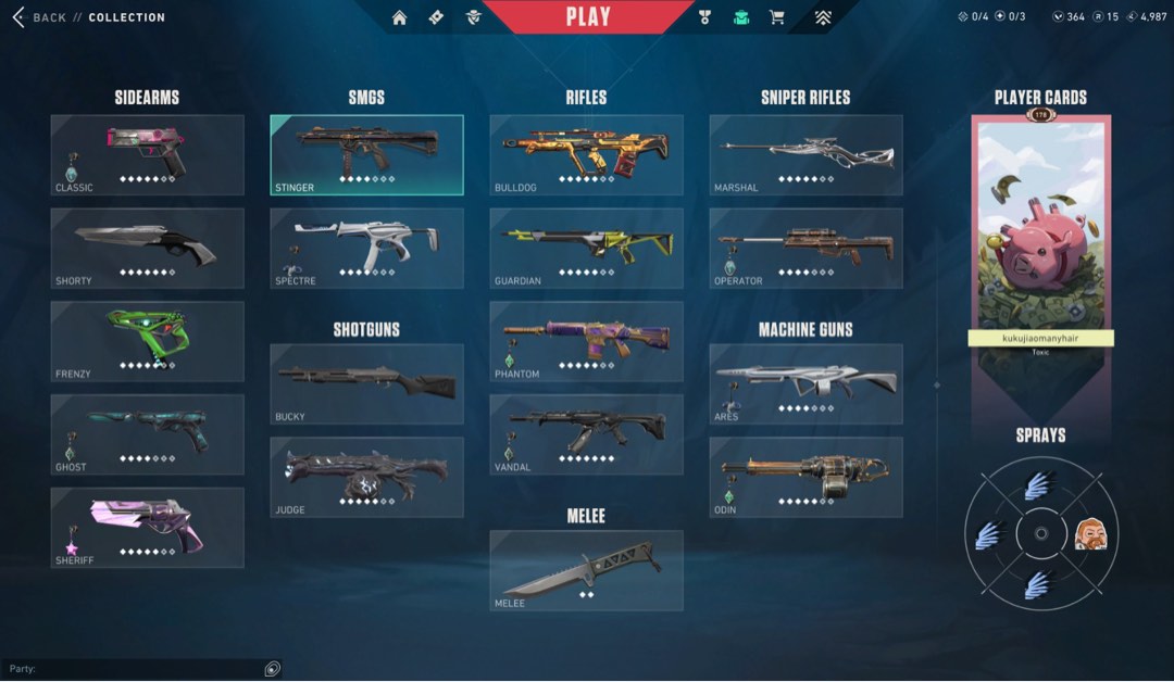 24 Premium Skins Valorant Account, Video Gaming, Gaming Accessories, In ...