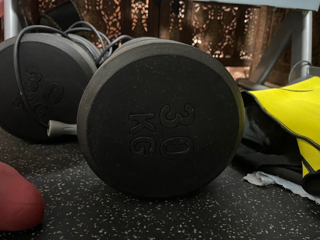 30kg Dumbbell, Sports Equipment, Exercise & Fitness, Weights ...