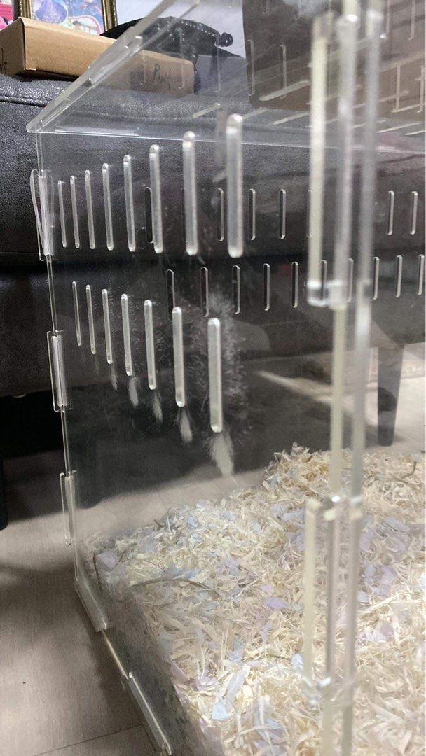 80cm hamster Acrylic Cage, Pet Supplies, Homes & Other Pet Accessories ...