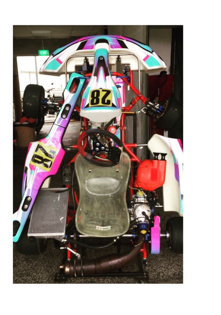 Birel S4 RY30 Chassis with IAME KF2 Engine, Sports Equipment, Other ...